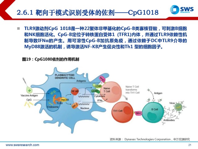 疫苗佐剂行业深度报告：疫苗脱颖而出的秘密武器_腾讯新闻