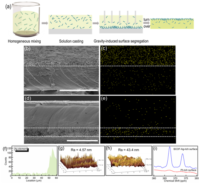 Michael D.Guiver教授/姜忠义教授/尹燕教授CEJ观点：限域传质机制指导大孔分离小分子_腾讯新闻