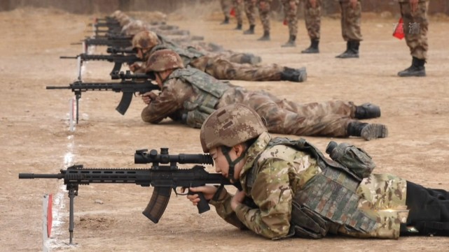 191式精准步枪有多“准”？初次体验10发95环，解决88式狙击难点_腾讯新闻