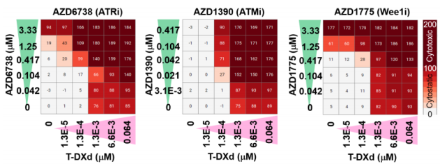 盛湲教授：ADC药物的狂欢—AACR T-DXd最新数据盘点_腾讯新闻