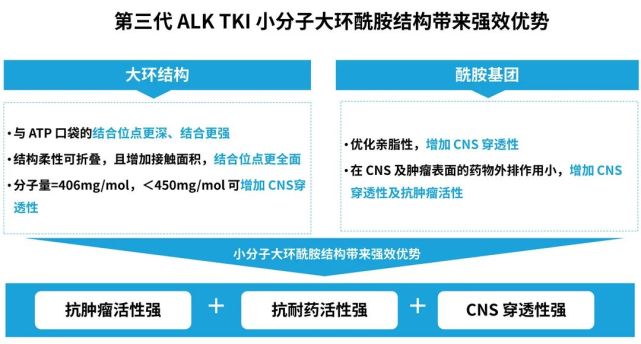 深入剖析｜为什么三代 ALK TKI 的抗肿瘤优势更强？_腾讯新闻