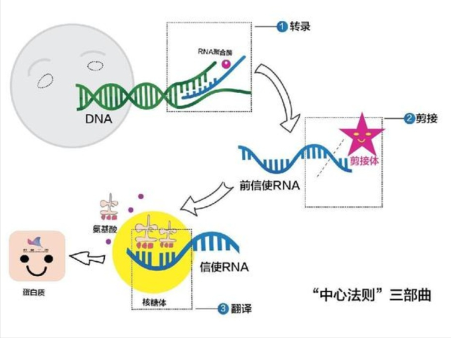 我们都是外星后代？70亿岁陨石发现DNA成分！地球生命或来自太空_腾讯新闻
