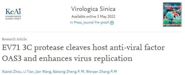 EV71通过3C蛋白酶切割宿主抗病毒因子OAS3以促进病毒复制_腾讯新闻