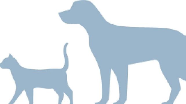 动物保健公司Invetx获6050万美元融资，助力抗体疗法进入兽医领域_腾讯新闻