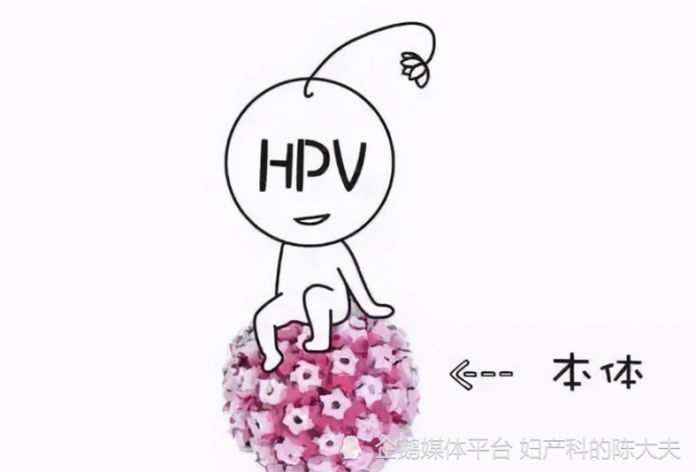 关于CINI级（宫颈LSIL）和HPV感染_腾讯新闻
