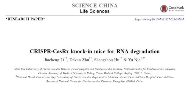 推动CRISPR-CasRx技术体内应用：CRISPR-CasRx敲入小鼠敲低心脏关键基因_腾讯新闻