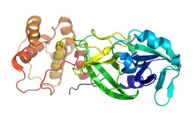 先声药业口服新冠药物获批临床_腾讯新闻