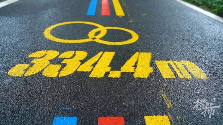 520，“我爱你”！临平有条公路就叫520，1314对水杉，1314米长，而且好有故事……_腾讯新闻