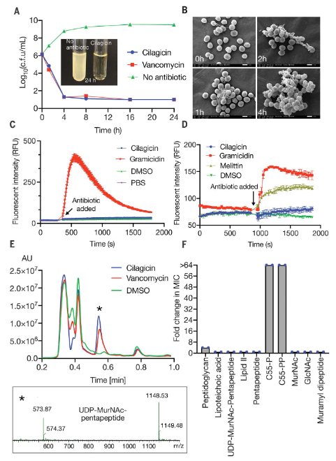 对抗细菌耐药性获突破！《Science》重磅：定制抗生素_腾讯新闻