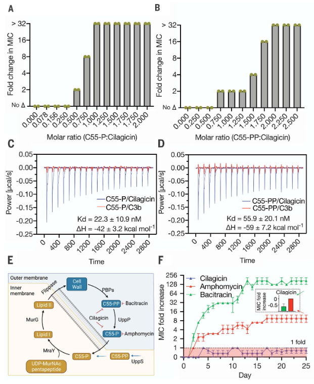 对抗细菌耐药性获突破！《Science》重磅：定制抗生素_腾讯新闻