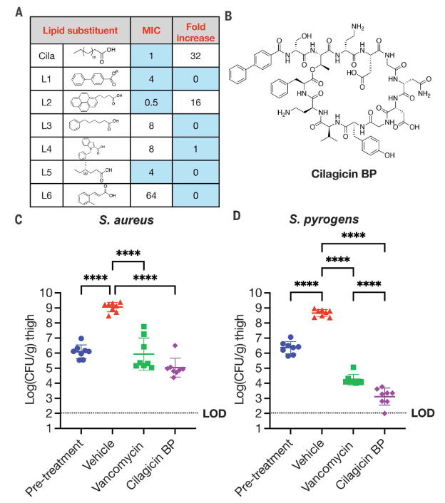 对抗细菌耐药性获突破！《Science》重磅：定制抗生素_腾讯新闻