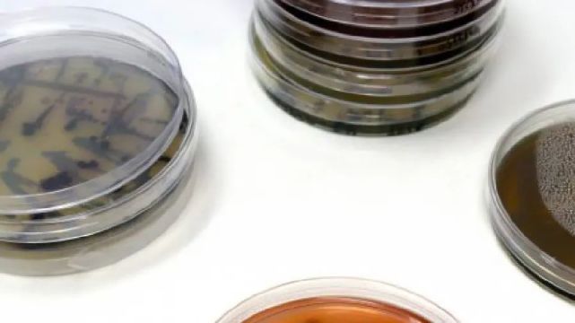 可持续织物染色解决方案平台Colorifix完成B轮融资，H＆M领投_腾讯新闻