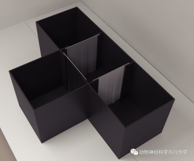 脑声常谈：浅析常见的用于评估啮齿动物视觉能力的行为学设备及测试应用_腾讯新闻