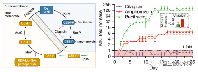 柳暗花明！Science：科学家解锁海量天然化合物宝库，已合成一种强大的抗生素_腾讯新闻