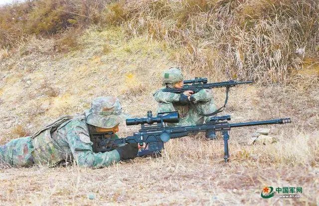 191型精准步枪高原开打！“透明弹匣＋高倍瞄准镜”细节满满_腾讯新闻