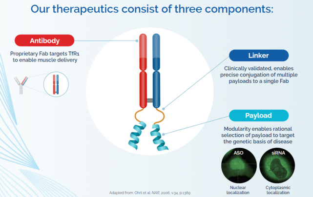 速递｜目标攻克常见肌营养不良症，FDA批准这款新药进入临床试验_腾讯新闻