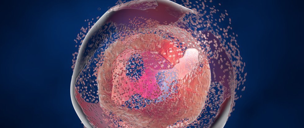 科学家研发的OrganEx系统，可以在猪死亡1小时后恢复其器官功能_腾讯新闻