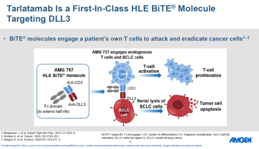 世界肺癌大会亮点一文总结：安进、阿斯利康、罗氏、和黄医药、基石药业等公布最新结果_腾讯新闻