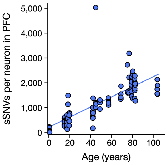 《自然》：阿尔茨海默病患者的神经元为何会死亡？人脑神经元单细胞测序解密！_腾讯新闻