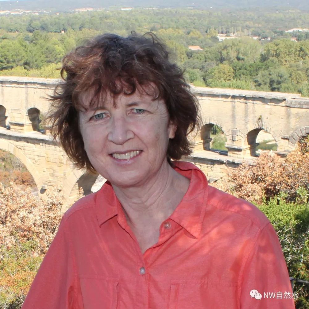 《自然-水》系列研讨会第二期：卫星与水_腾讯新闻