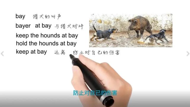 英语思维解密，为什么keep at bay指建立有效防御，轻松学英语_腾讯新闻