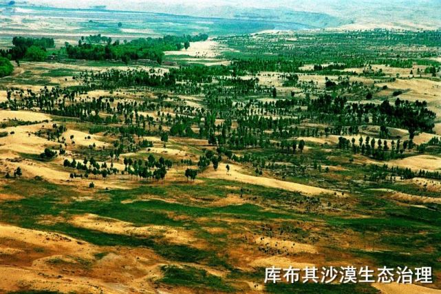 鄂尔多斯市黄河流域“十大行动”之荒漠化防治行动_腾讯新闻