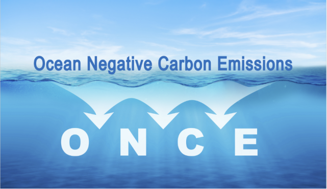 The Innovation｜“海洋负排放”国际大科学计划—碳中和新范式_腾讯新闻