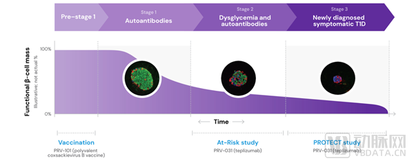 1型糖尿病预防药物PRV-031有望上市，生物医药公司Provention bio市值超4亿美元_腾讯新闻