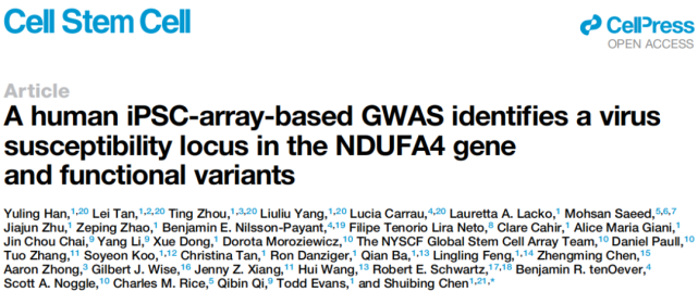 Cell Stem Cell：陈水冰团队构建基于人iPS干细胞的GWAS研究平台_腾讯新闻