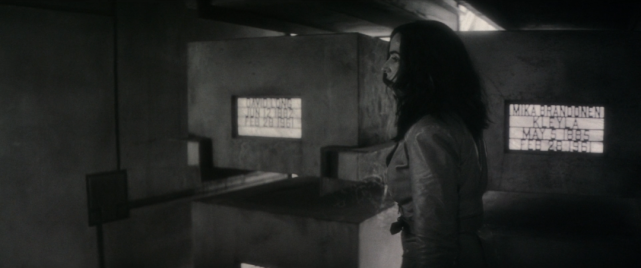 《暗夜狼人》24个彩蛋解析：多元守护者登场，引出漫威怪物宇宙_腾讯新闻