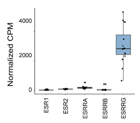 Science Adv｜基因分析发现RB1缺失的视网膜母细胞瘤治疗新靶点_腾讯新闻