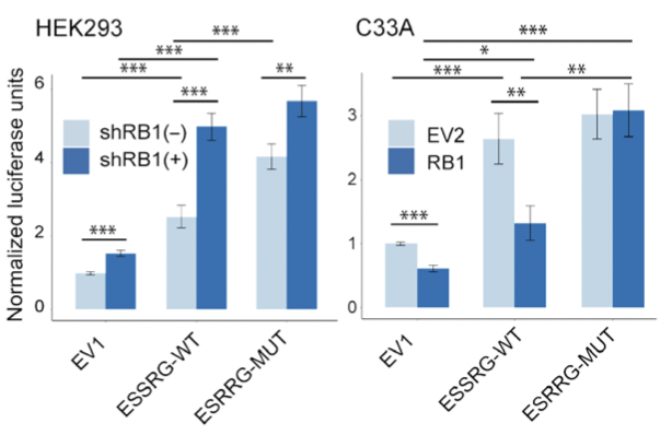 Science Adv｜基因分析发现RB1缺失的视网膜母细胞瘤治疗新靶点_腾讯新闻