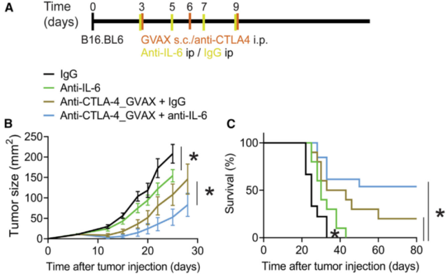 《癌细胞》：减毒增效两手抓，看IL-6抑制剂如何助力免疫治疗_腾讯新闻
