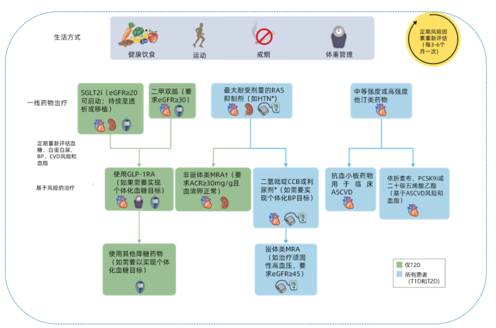 2022 KDIGO临床实践指南更新：首次推荐非甾体类MRA用于T2D合并CKD患者治疗！_腾讯新闻