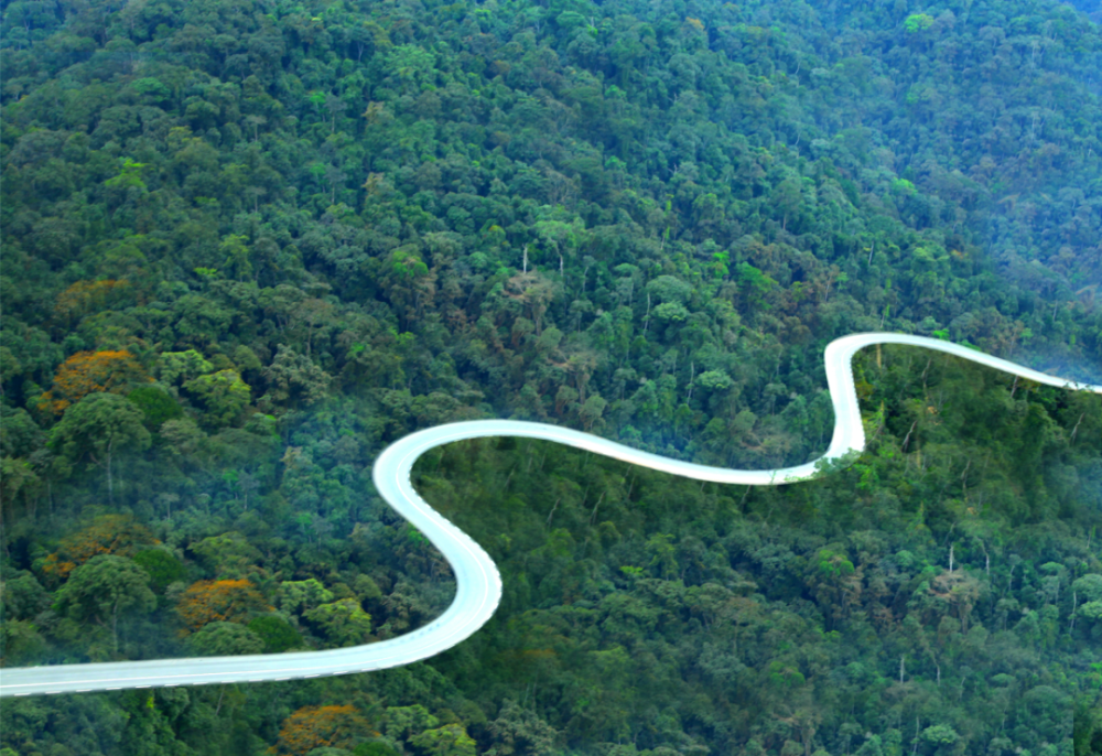中建五局：打造五大优势，实现高质量发展_腾讯新闻
