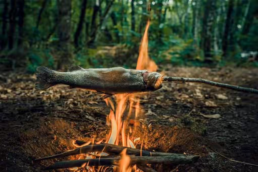 以色列熟鱼化石显示：人类在80万年前就已知用火_腾讯新闻