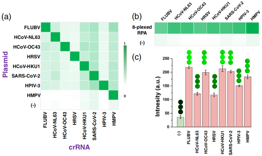 Nature子刊：李颖团队开发基于Cas12a的多靶标核酸检测技术平台MiCaR_腾讯新闻