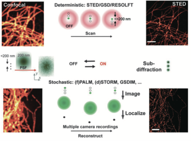 十大变革科技｜打开微观生物世界的大门：超分辨显微成像技术_腾讯新闻