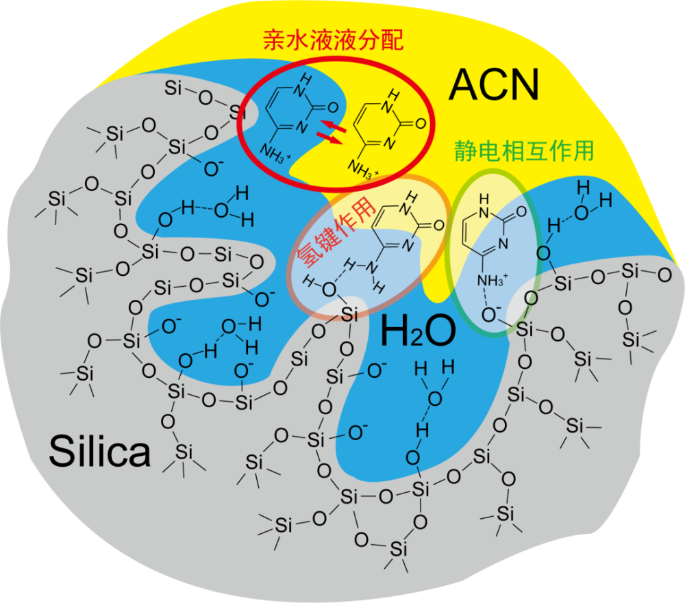 亲水作用色谱柱HILIC的工作机制_腾讯新闻