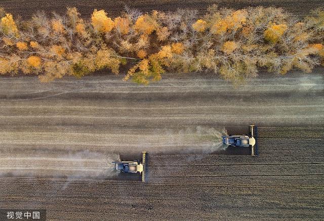 日媒：俄小麦出口激增，缓解全球担忧_腾讯新闻