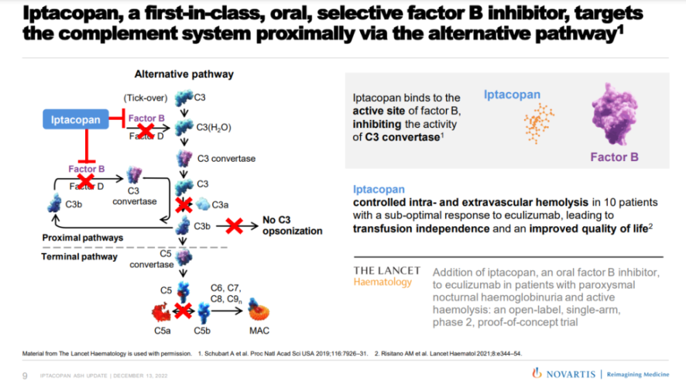 速递｜有潜力改变标准治疗，诺华公布潜在“first-in-class”口服疗法3期详细结果_腾讯新闻