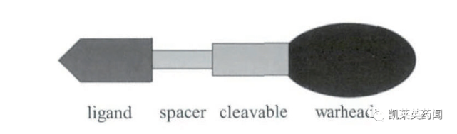小分子偶联药物（SMDC）：FDA批准Vincerx在研药物VIP236的IND申请_腾讯新闻