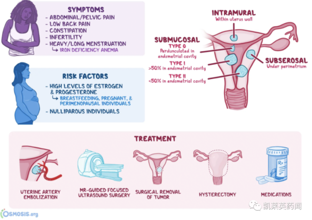 首例入组！新型GnRH拮抗剂Linzagolix将打破子宫肌瘤患者缺乏可长期口服且具有灵活剂量方案药物的现状_腾讯新闻