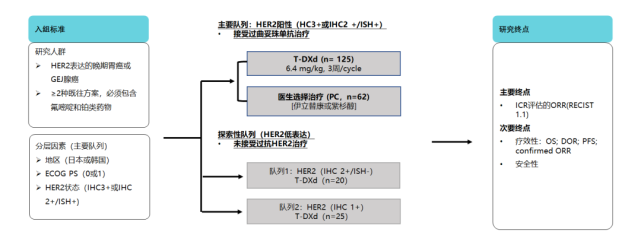 深耕细作，以HER2为靶点的ADC药物在晚期胃癌的广泛探索_腾讯新闻