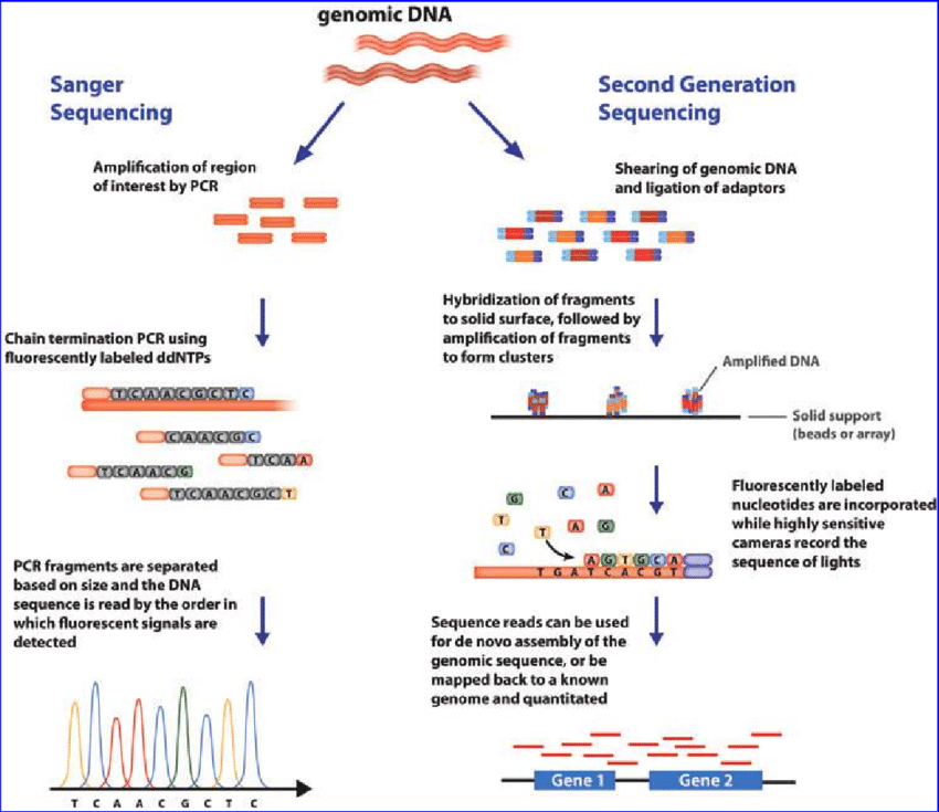 如果你还搞不懂 PCR、Sanger 测序、NGS 测序，建议你花 3 分钟看这篇_腾讯新闻