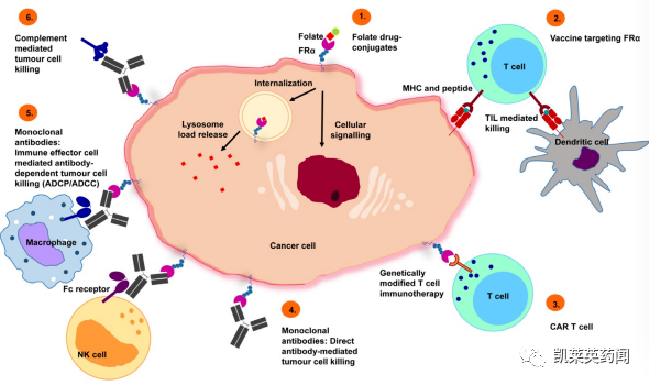 普方生物两款ADC喜获新进展｜PRO1184人体临床试验启动给药，PRO1160获FDA批准启动I期临床_腾讯新闻