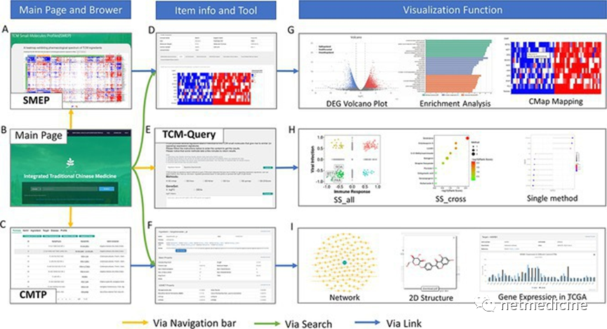 Briefings in Bioinformatics｜国际上最大的基于中药活性成分的药物转录图谱平台ITCM_腾讯新闻