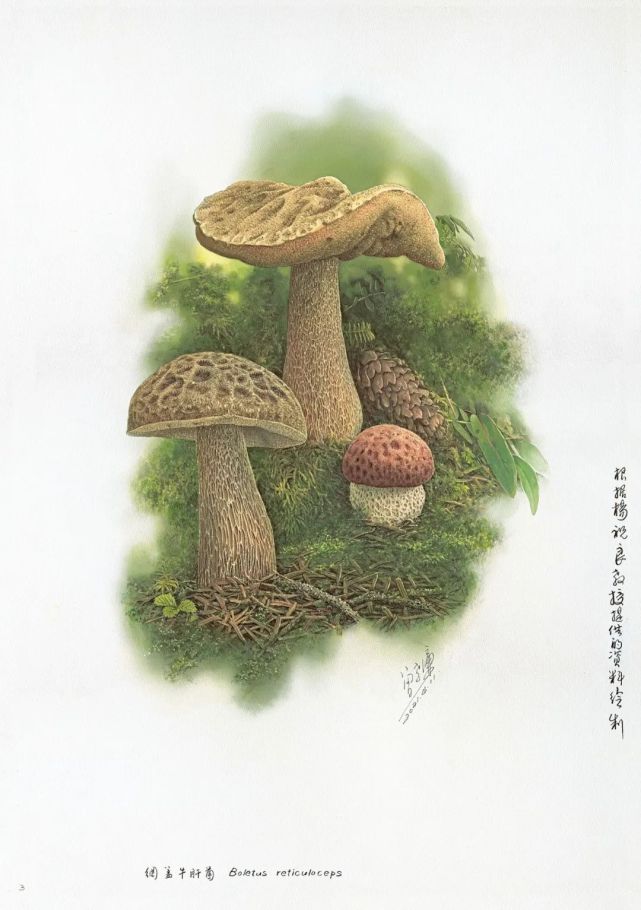 曾孝濂：我还有很多想画的没画，还有很多想表达的没表达出来｜一席第952位讲者_腾讯新闻