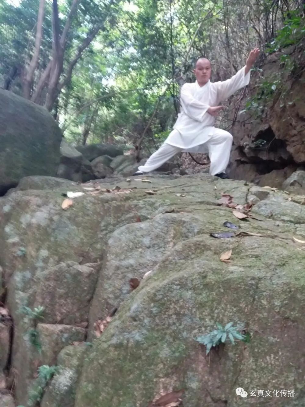 弘道深圳阳台山：传承教学武当武术武当太极拳，气功，丹道养生功腾讯新闻