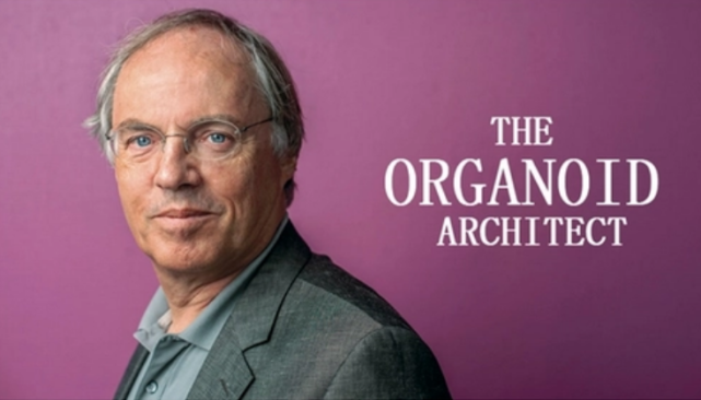 Hans Clevers 团队类器官研究再突破！新型人脂肪肝类器官可用于CRISPR筛选新靶点药物_腾讯新闻